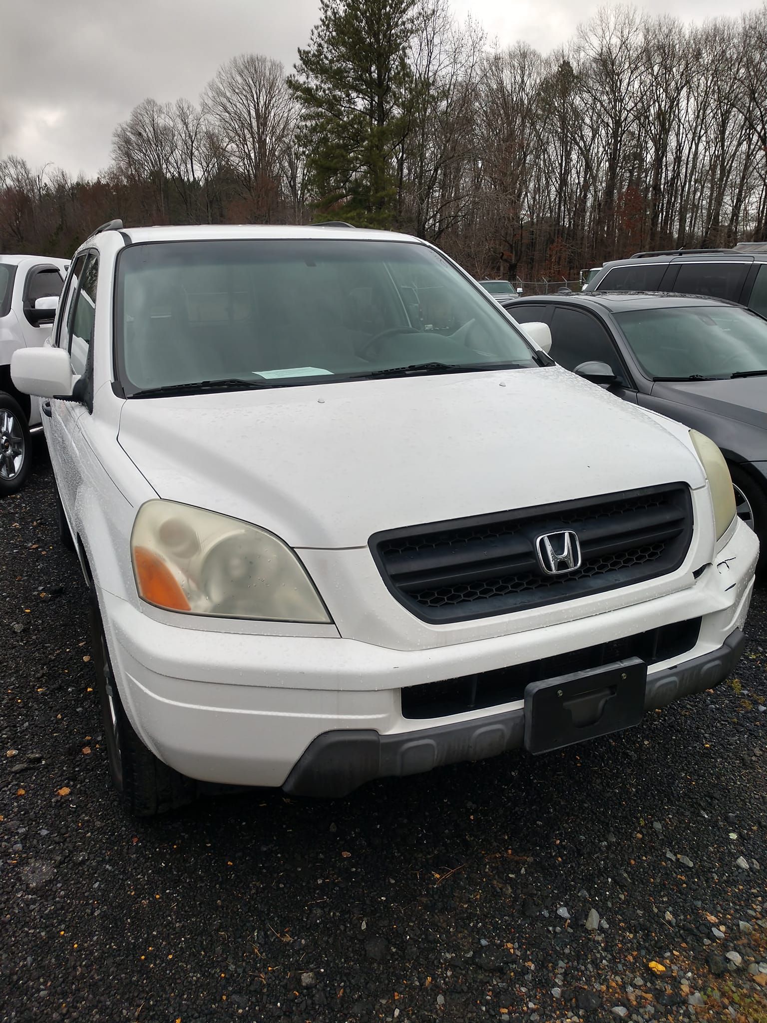 Check out our past work