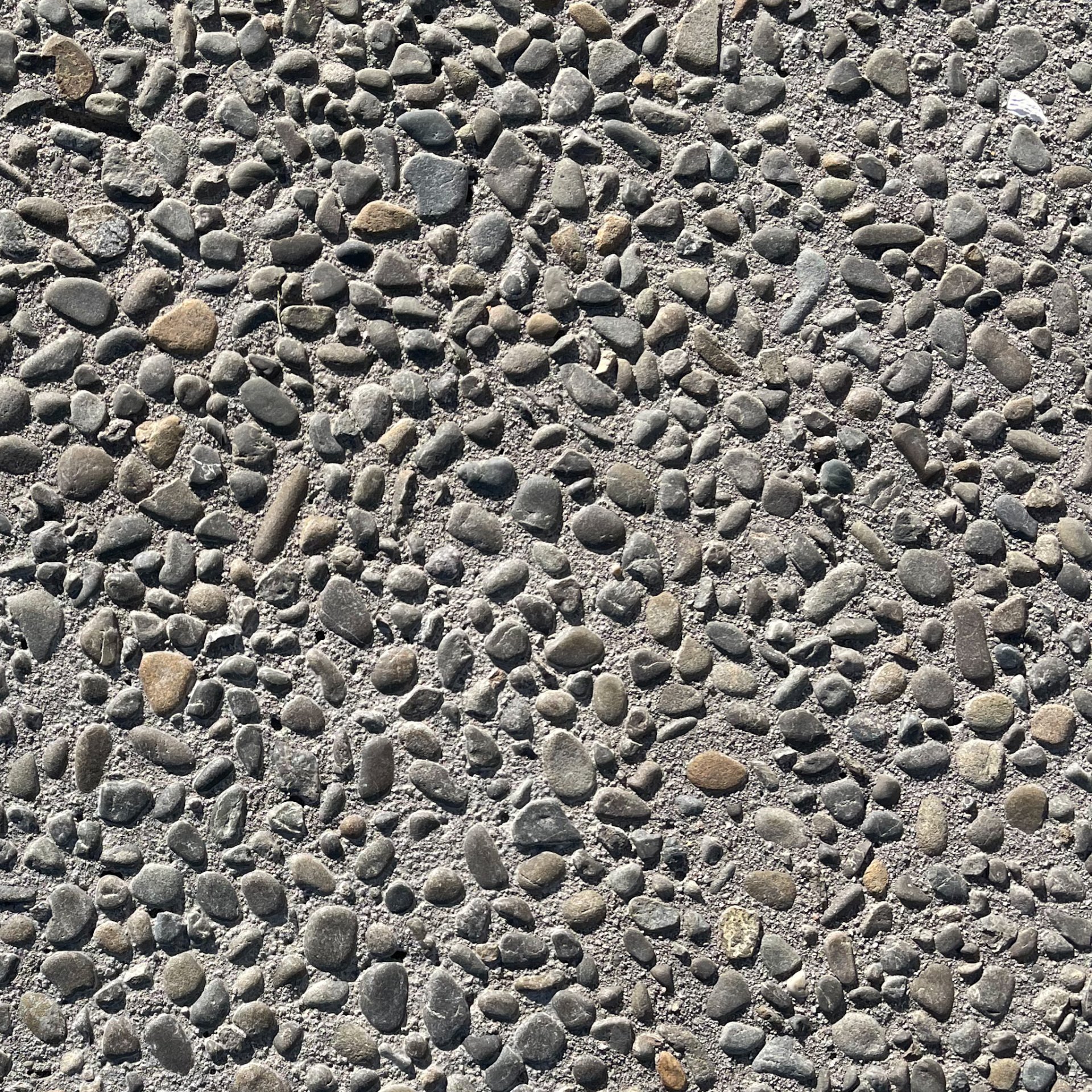Exposed Aggregate Concrete | Supacrete Concrete Tauranga