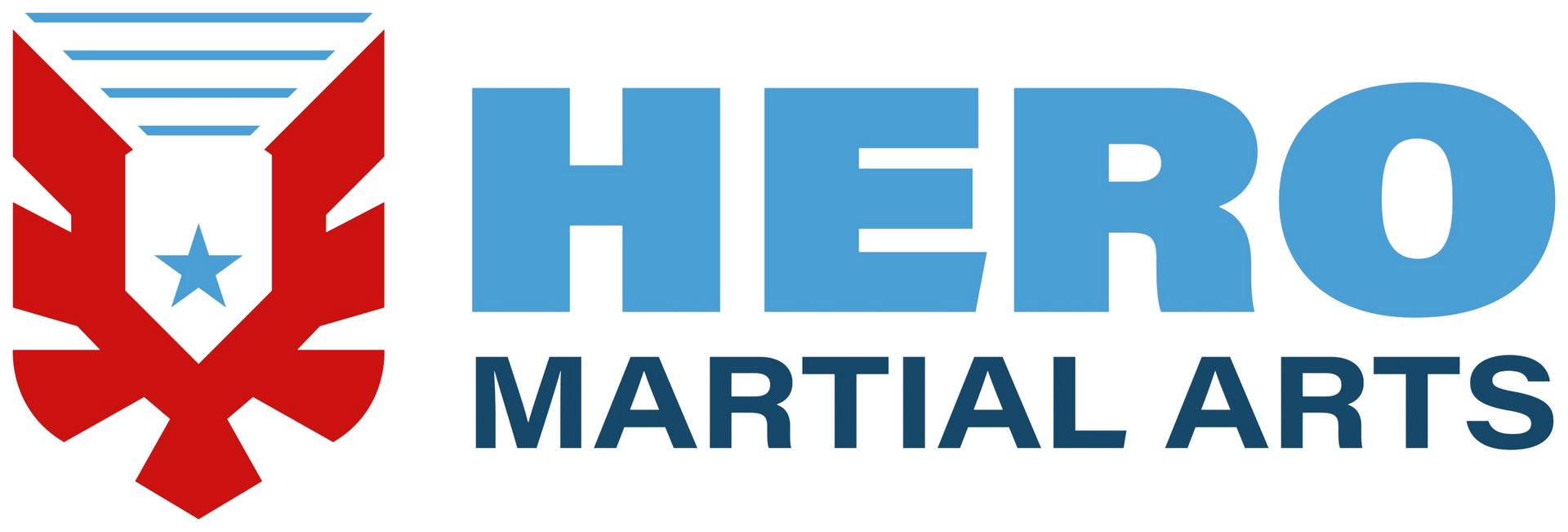 Martial Arts Training in Tennessee | Hero Martial Arts