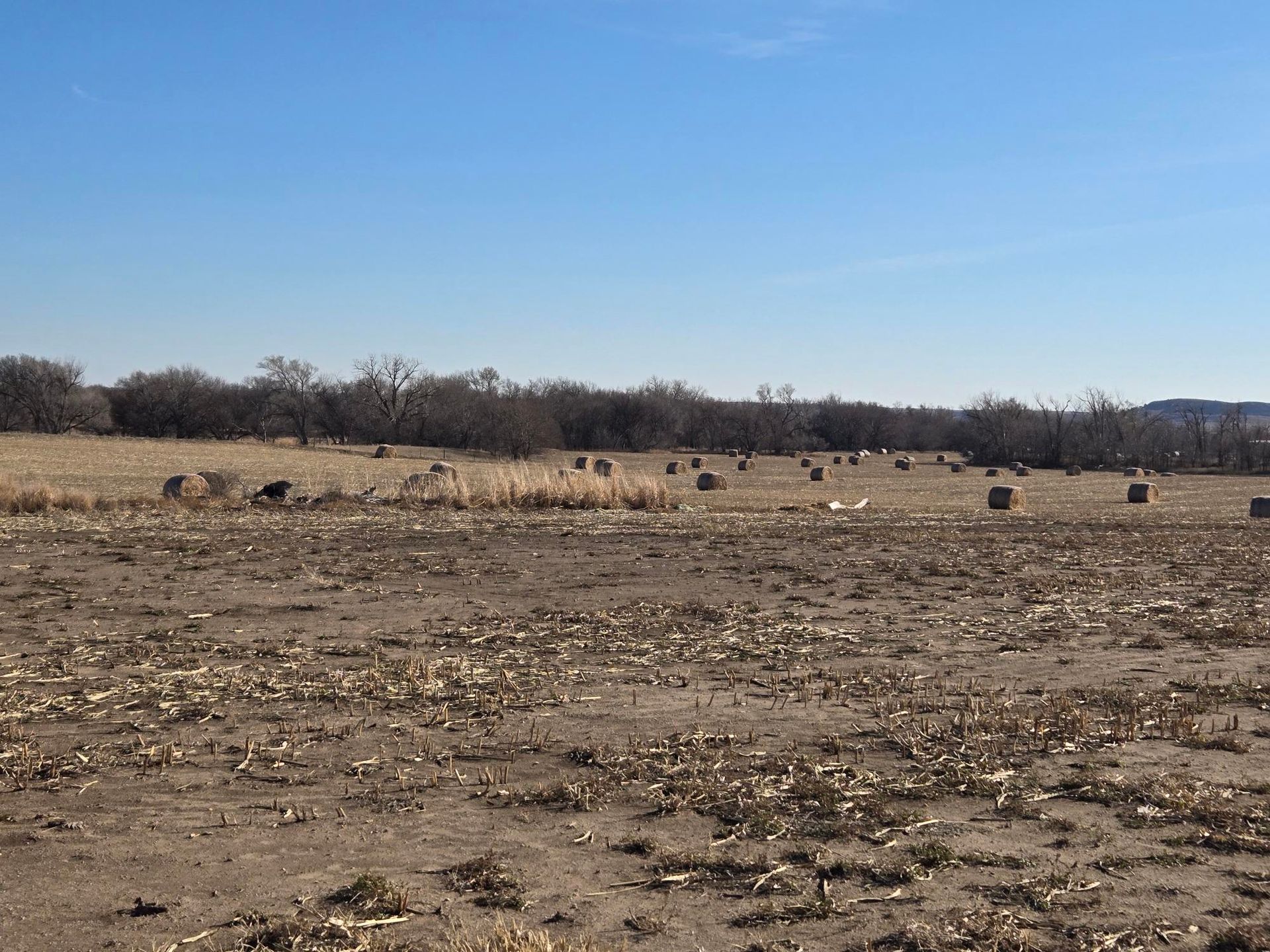 300 acres +/- Ellis & Rooks Co., Cult., Native Grass & Hunting