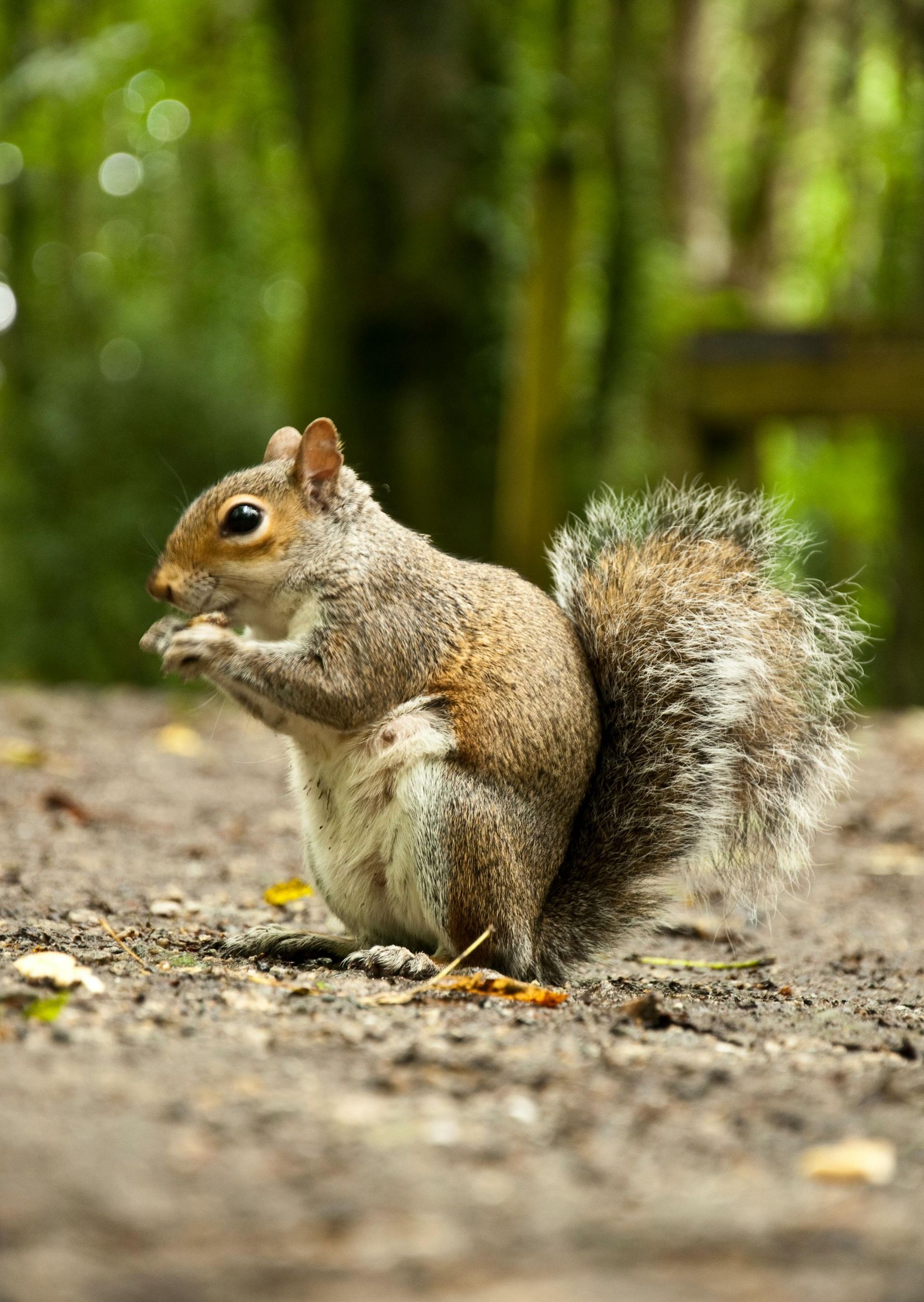 Total Pest Control, LLC | Waterbury & Bristol, CT | Pest Control Company