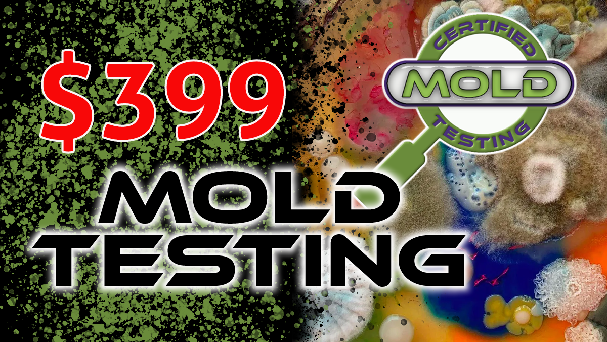 $399 Mold Testing | Certified Lab Mold Testing | Castle Rock, CO