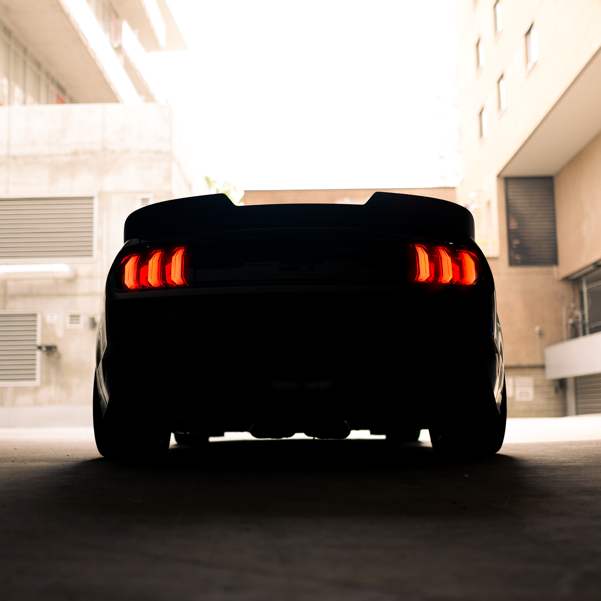 Calgary Whipple Supercharger Dealer and Installer for Ford Mustangs