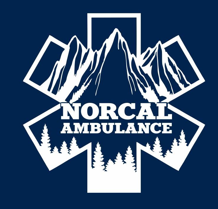 Showcase Gallery | BlessThisRescue