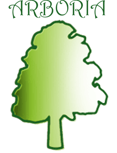 Potatura e abbattimento alberi a Prato | Arboria