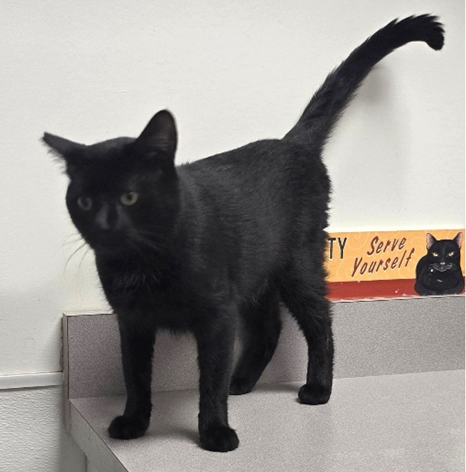 John Wayne Says Howdy, Pardner