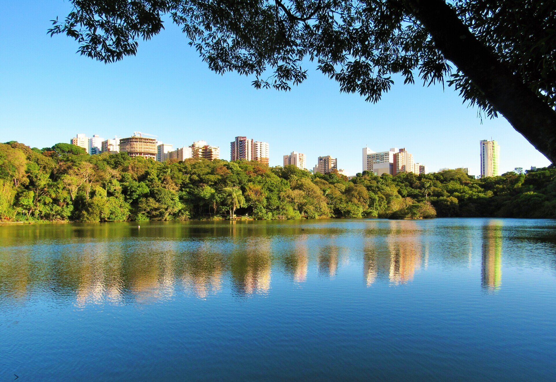 O que visitar em Maringá | Hotéis Deville