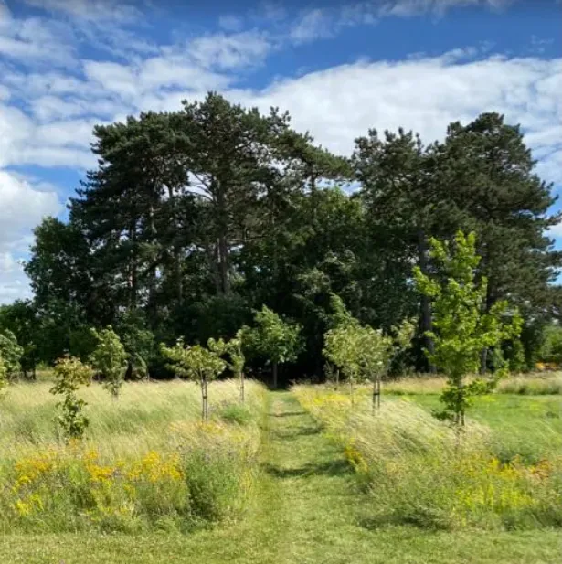 Natural Burial Grounds | Regency Funeral Directors