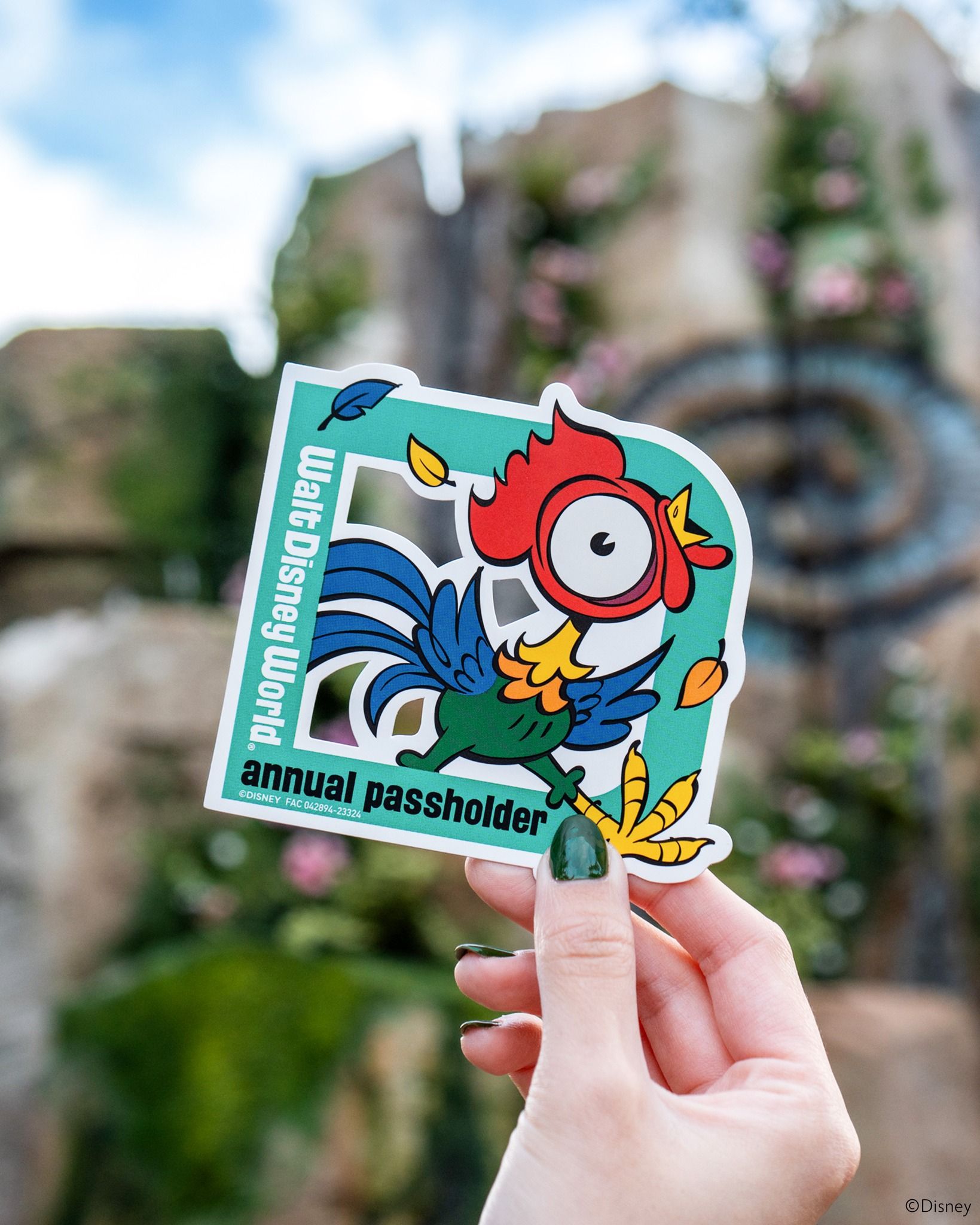 The Magic of Disney Annual Passholder Magnets Enhances Life in HW