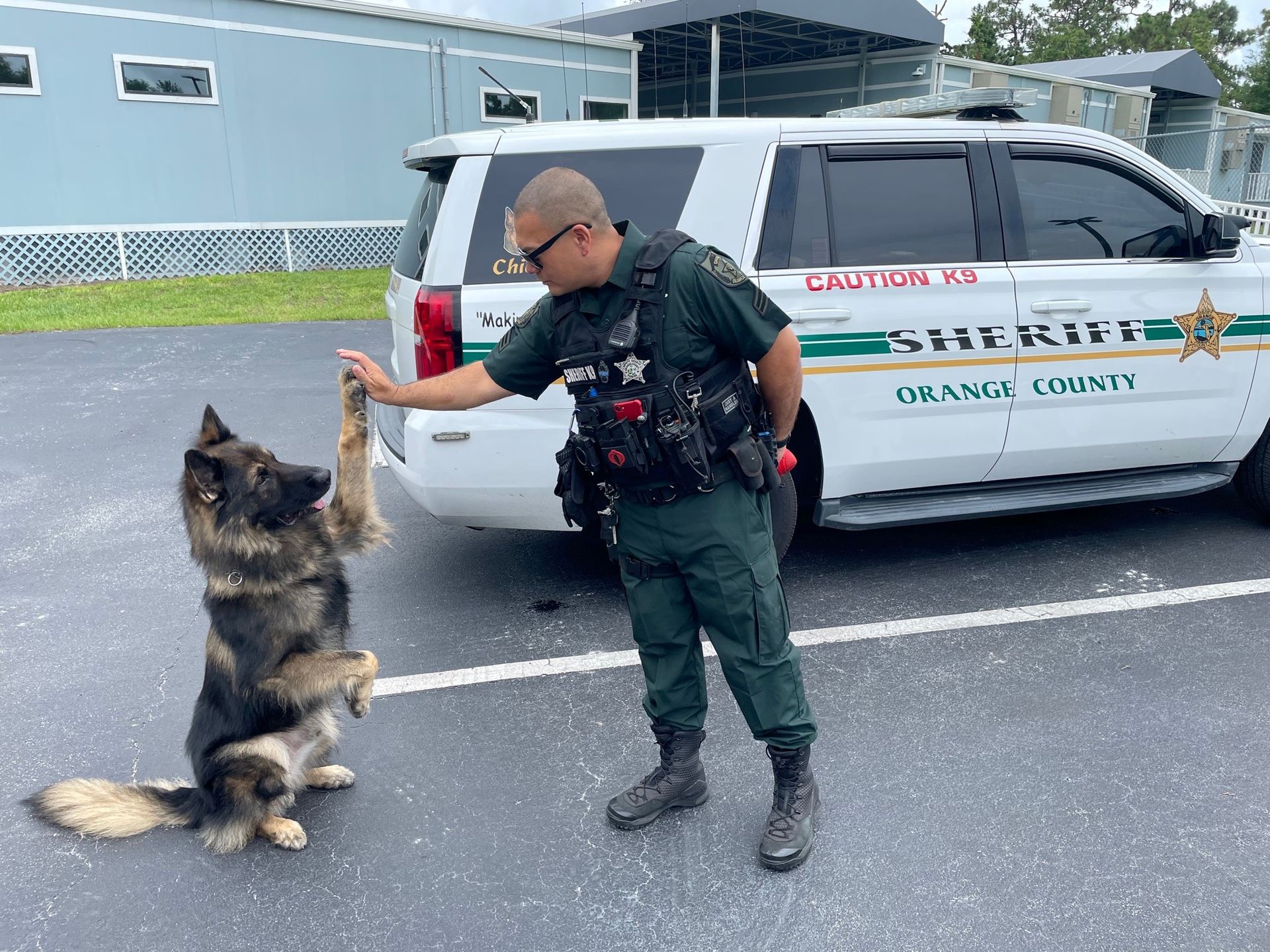 Orange County Sheriffs Office In This Photo Provided By Sarasota