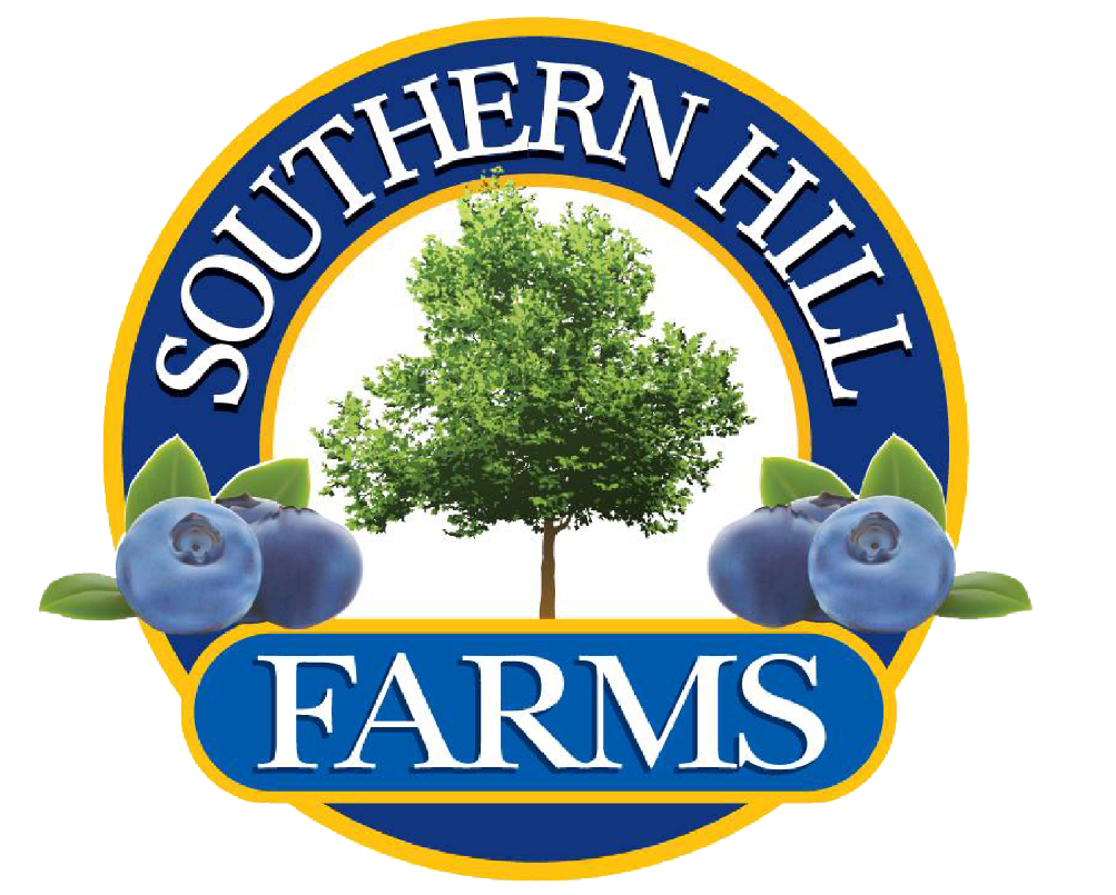 Hamlin’s Home State Brewing Leads Central Florida’s Next Big ...