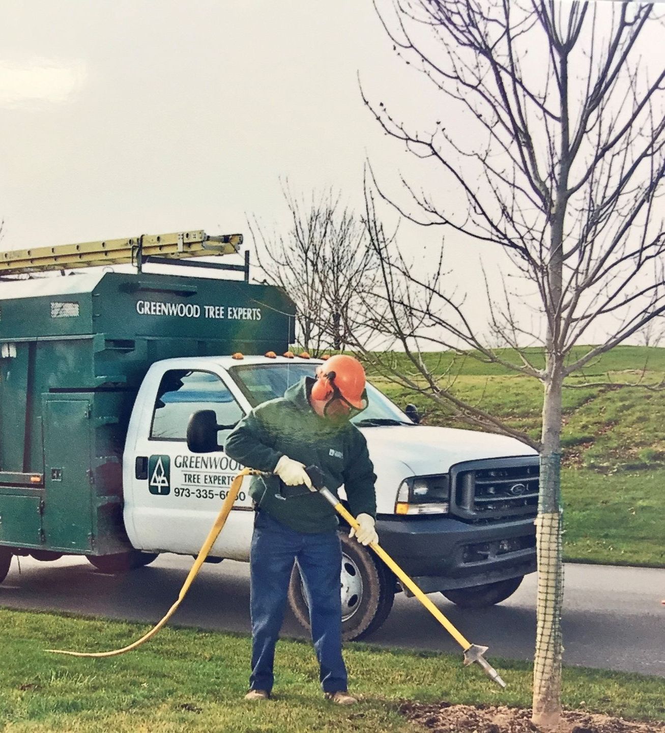 Local Plant Health Services | Montville, NJ | GTE