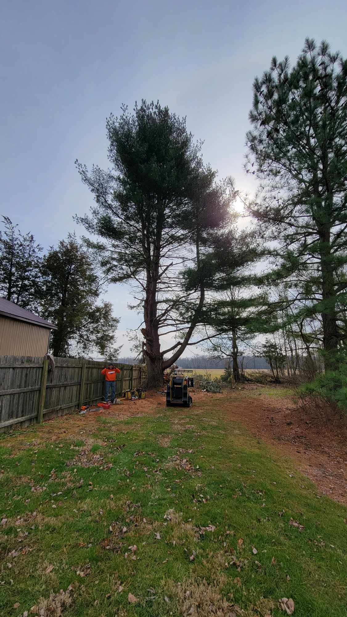 Thornburg Tree Services | Precision Tree Care | Magnolia, DE