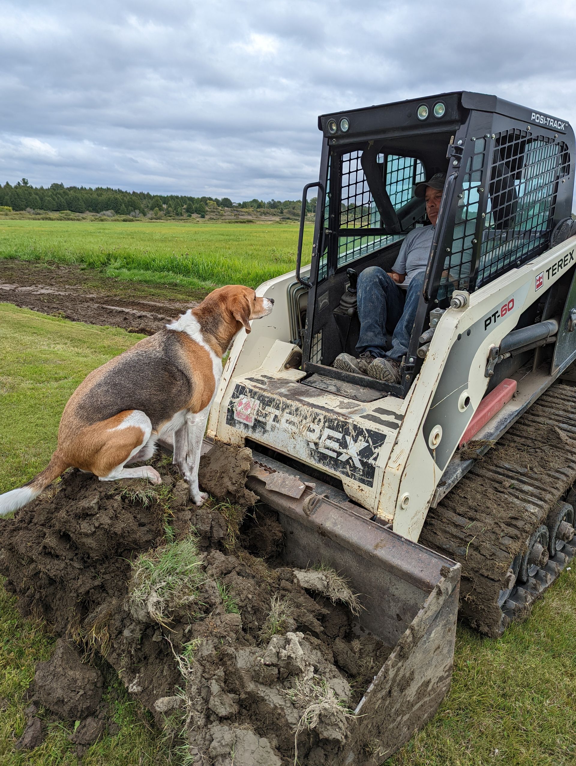 ALM team | Ottawa, Ontario