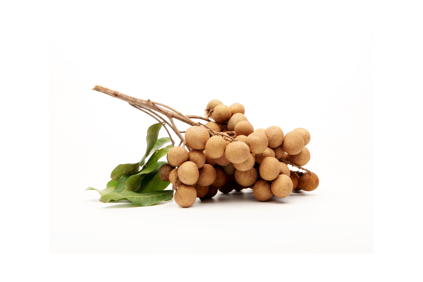 Exotic Fruits | Wholesale Fresh Produce Supplier