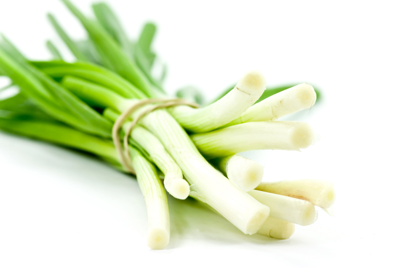 Spring Onions | Wholesale Supplier | Queentana Fresh