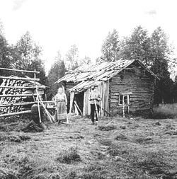 Skogfinner i Asker og Bærum