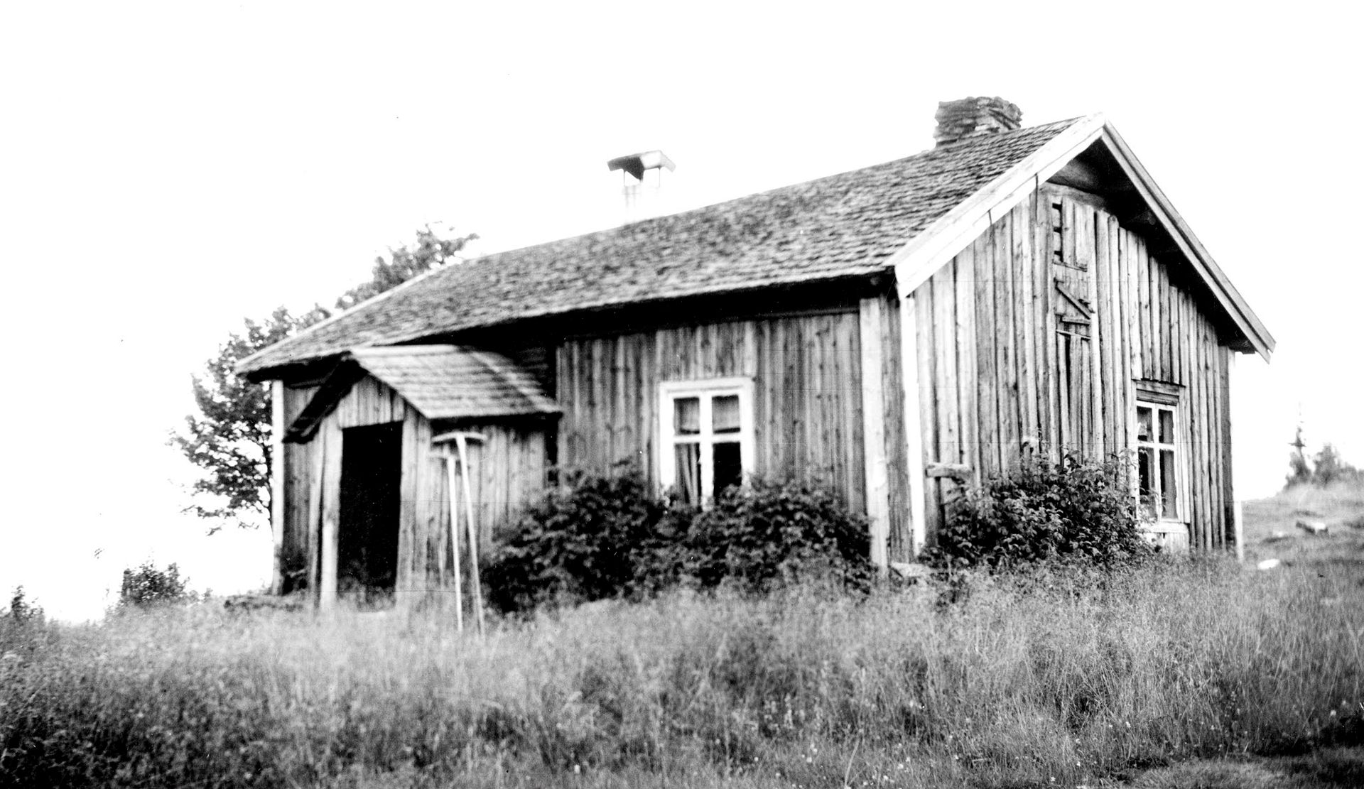 Skogfinner i Asker og Bærum