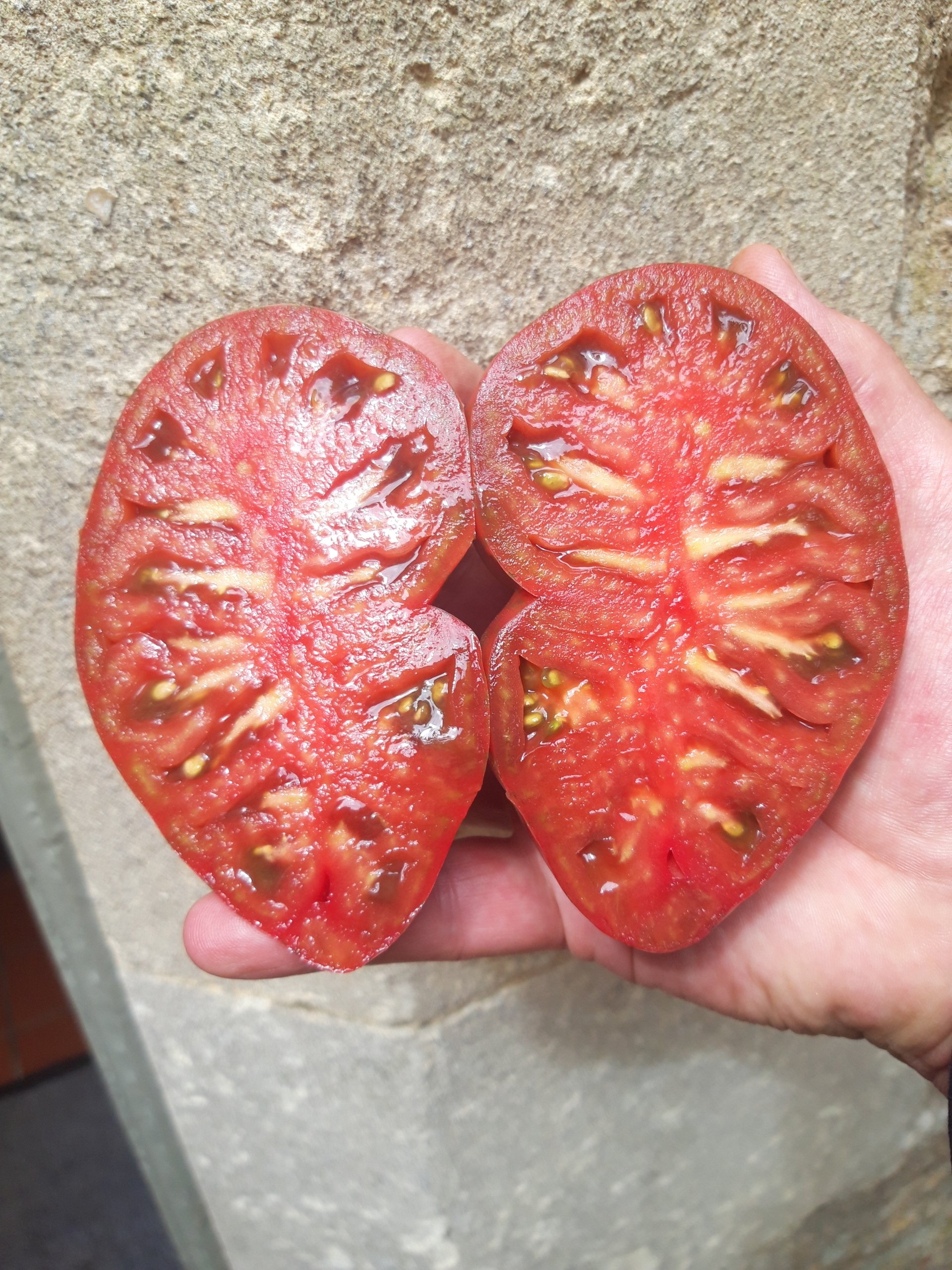 The Dwarf Tomato Project