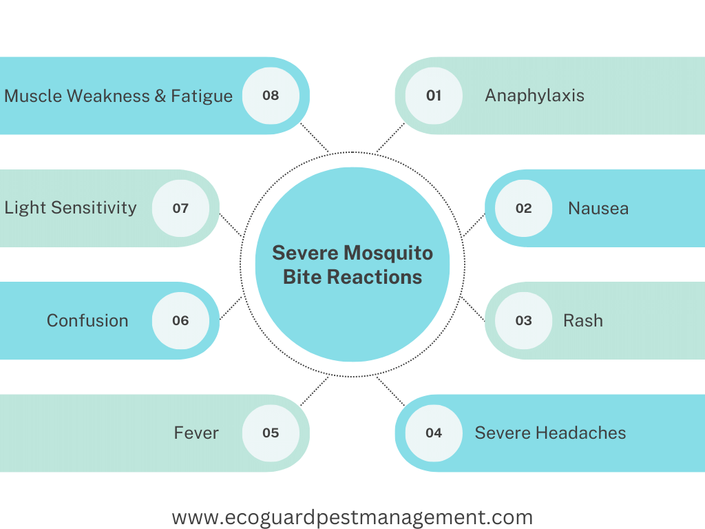 Skeeter Syndrome: Mosquito Bite Allergy Reactions