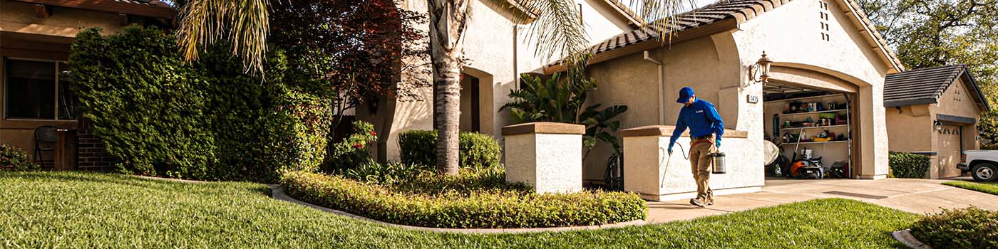 How to Bug Proof Your Home or Apartment | EcoGuard