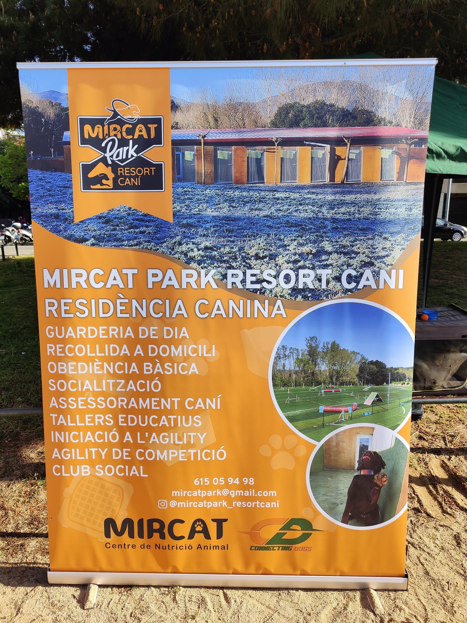 Home [www.mircatpark.com]