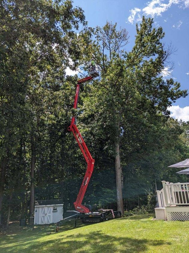 Tree Services – Howell, NJ – Aaron's Tree Service, LLC