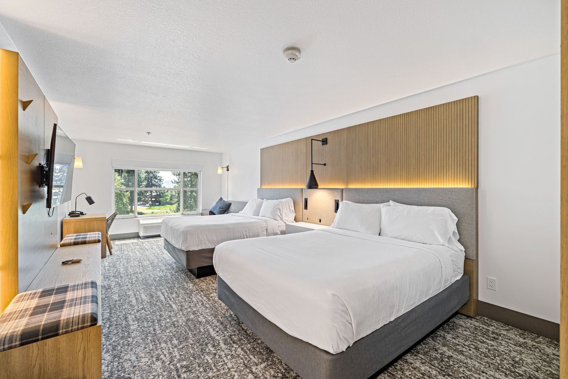 The Evergreen Hotel | Where Modern Comfort Meets Nature