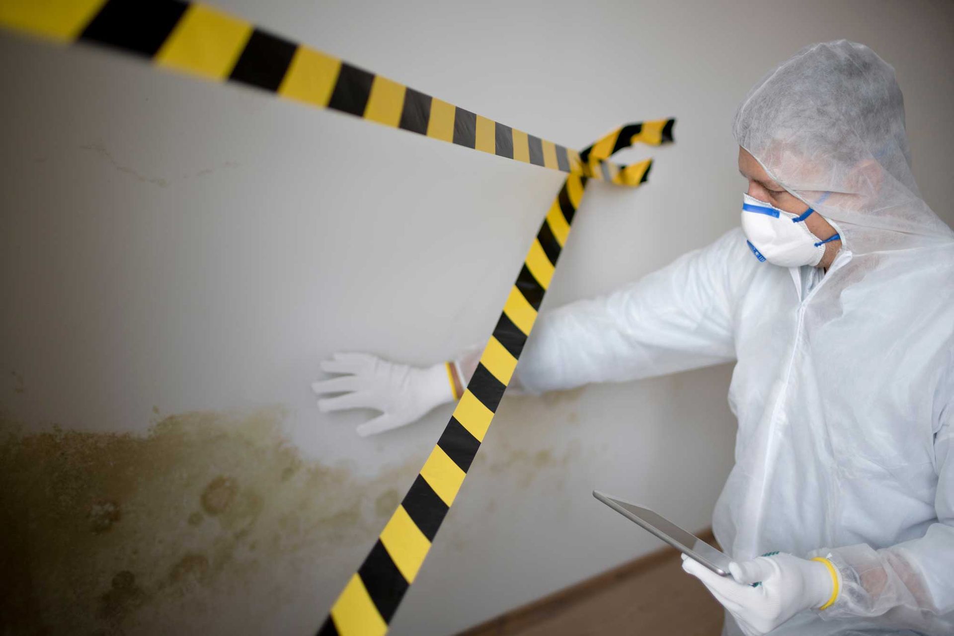 Signs to Call a Mold Remediation Company | Westerville, OH