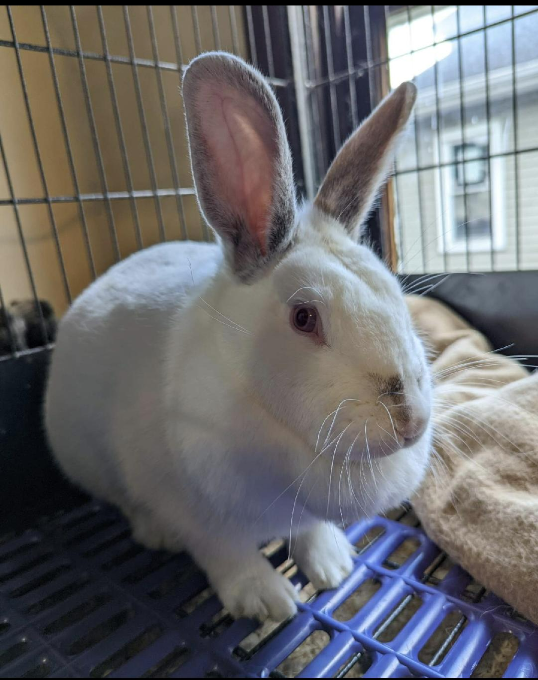 Pet Store | Cincinnati, OH | Animal House