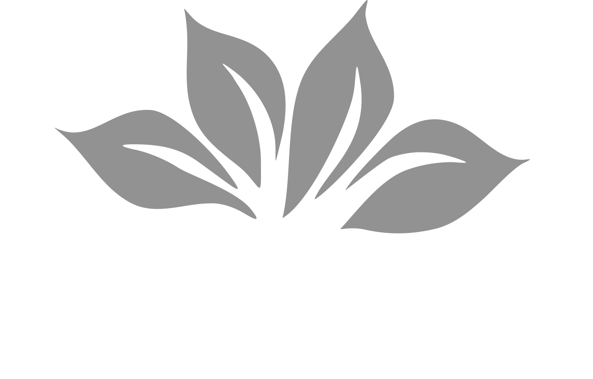 Kafejnīca, gaļas veikals, interneta veikals | Dārzā Ventspils