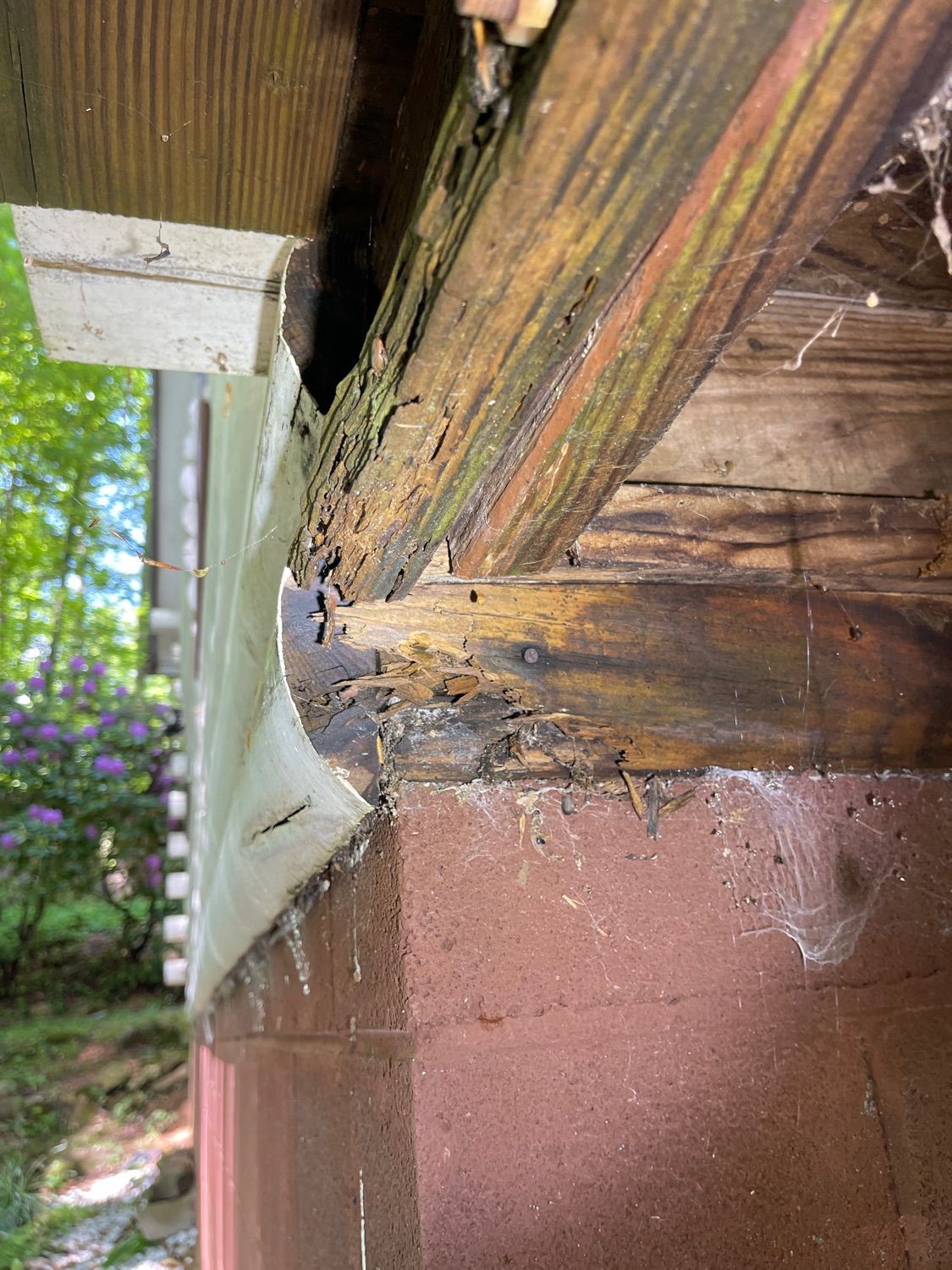 Property Inspections | Clarity Property Inspections | Hot Springs ...