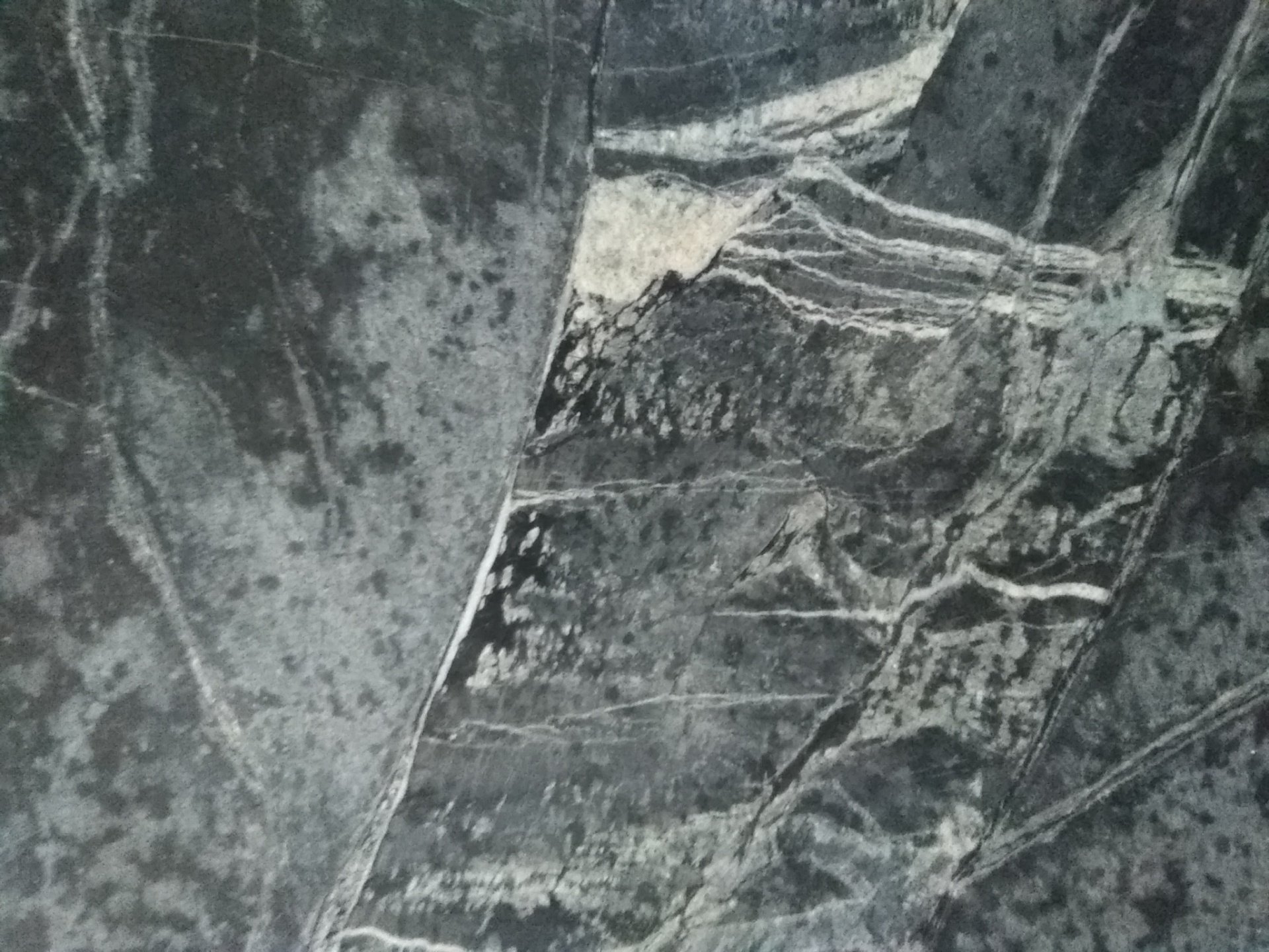 Italian Stone | Sacramento, CA | Coliseum Stone Gallery