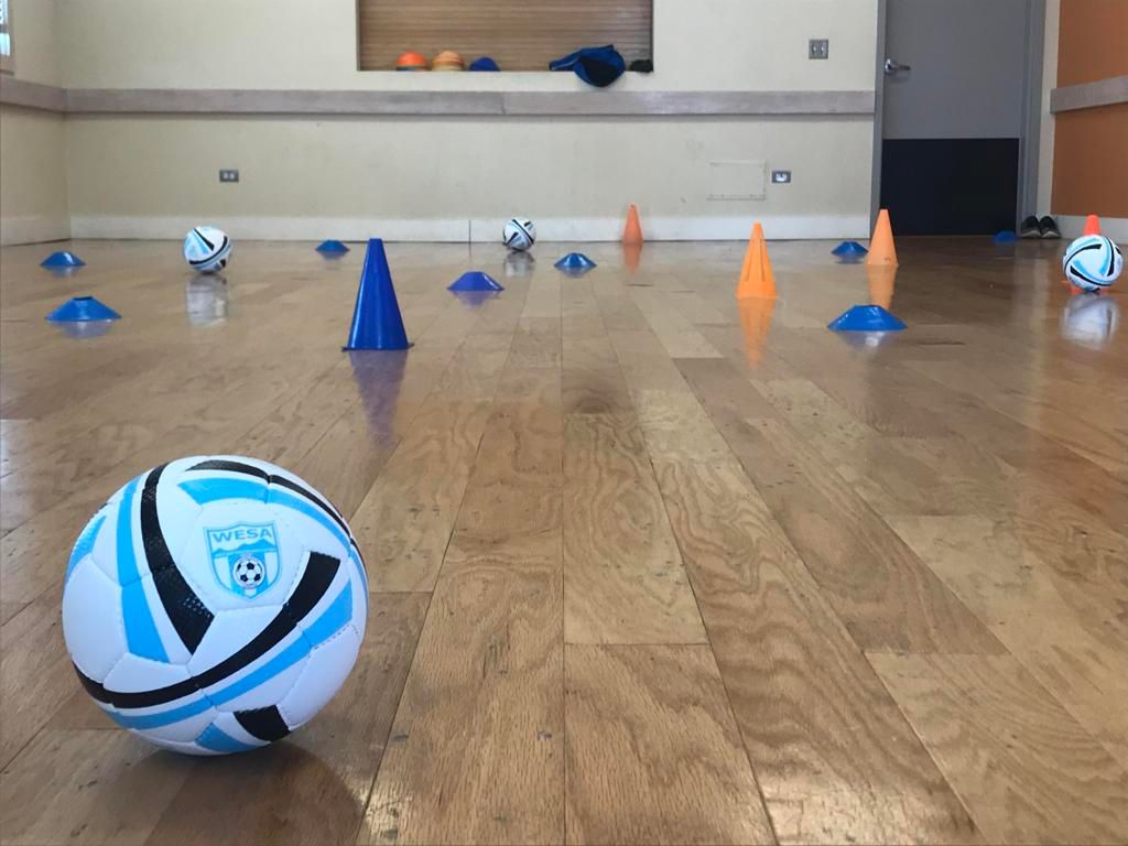 West Elk Soccer Association