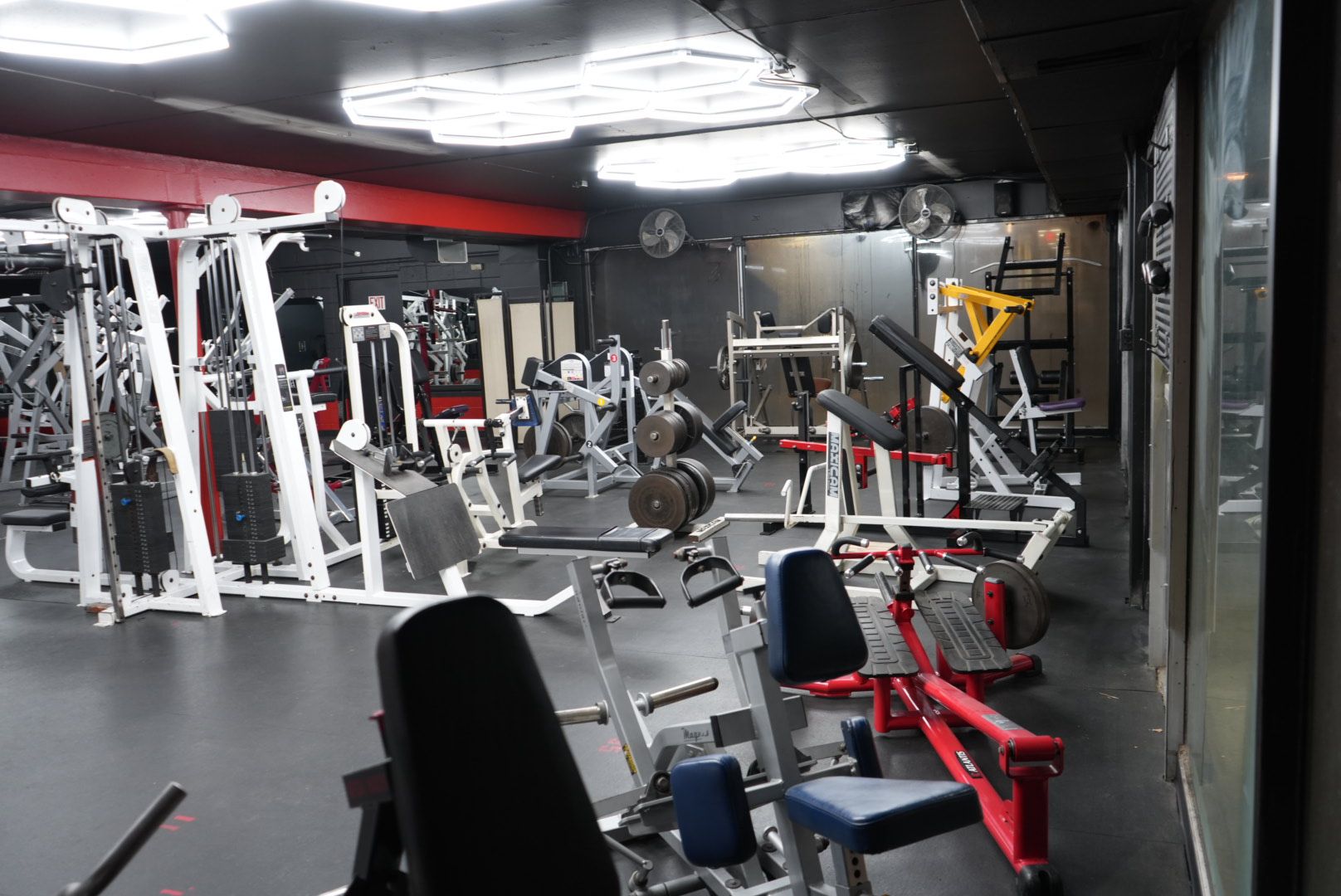 State-of-the-Art Equipment | Prodigy Gym & Fitness