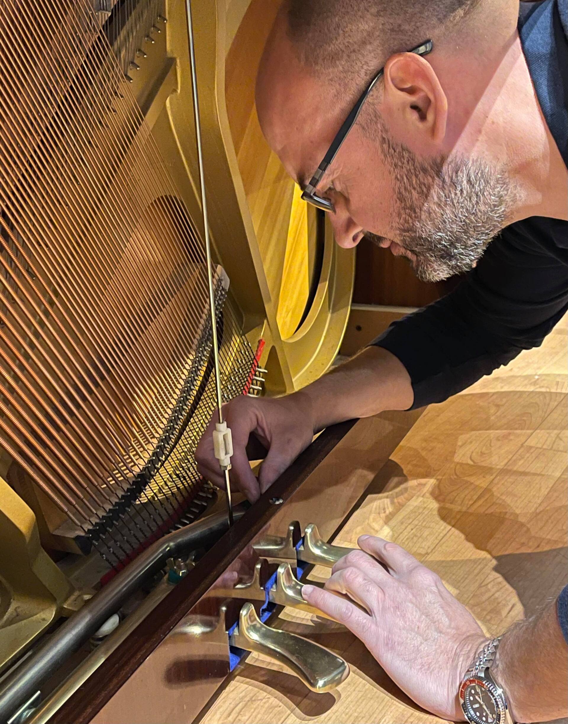 Piano Tuner Sussex | Steve Wild Piano Services | Sussex Piano Tuning