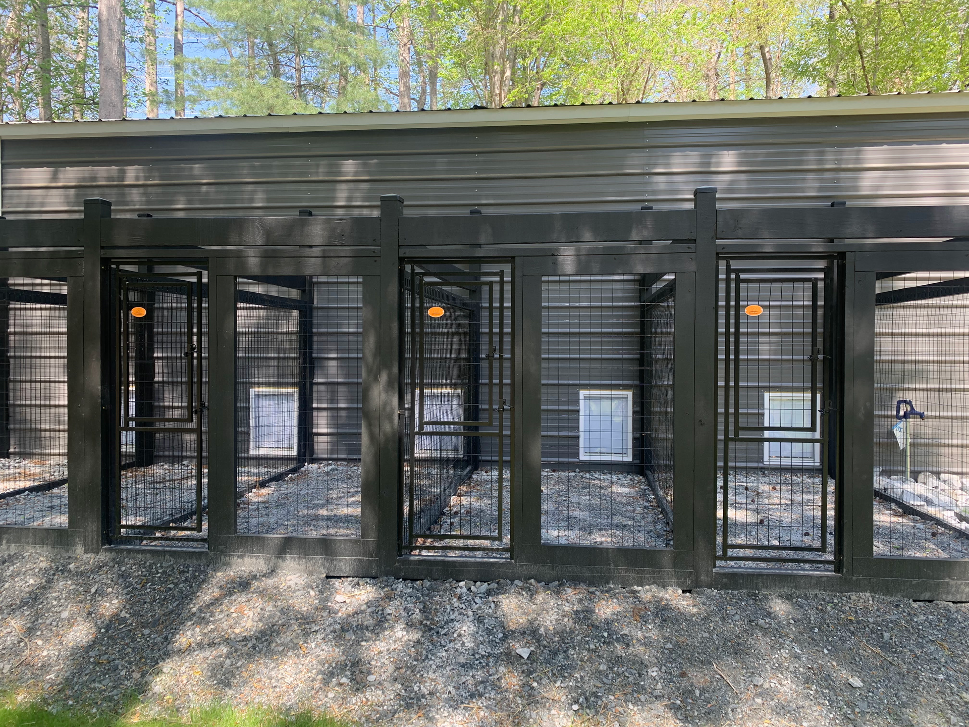 Dog Boarding | Kennels | Clemson, Seneca SC | Bark Barn