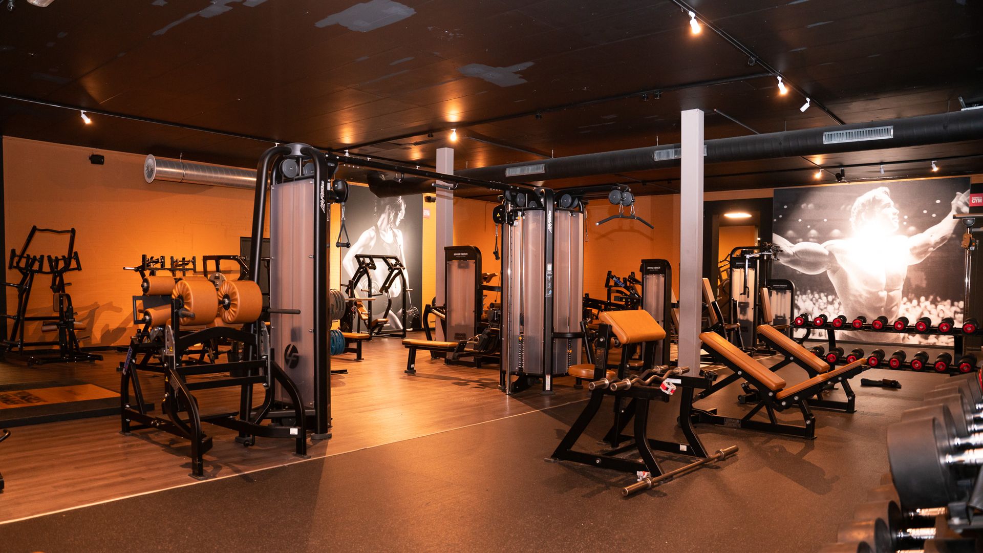 Tarieven | Daniels Premium