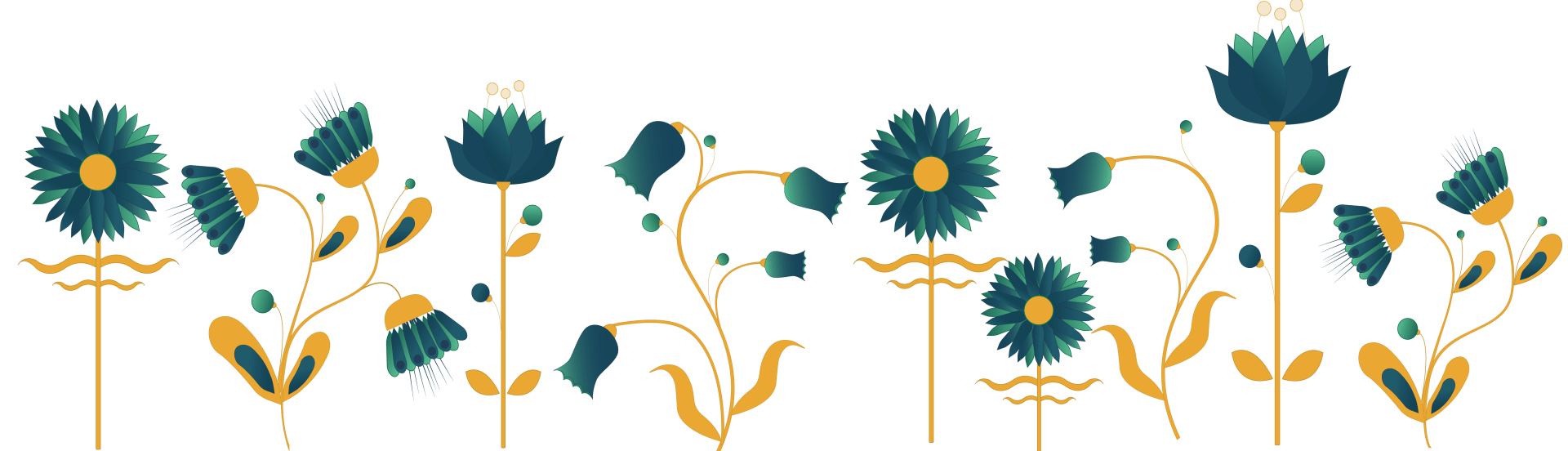 Plant Rant | Above The Dirt | houseplants