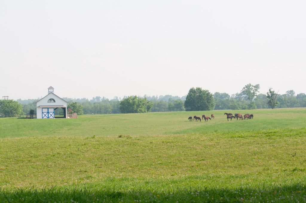 Hunterton Farm Photo Gallery