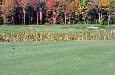 Golf Course | Spring Meadows Golf Club | Gray, ME