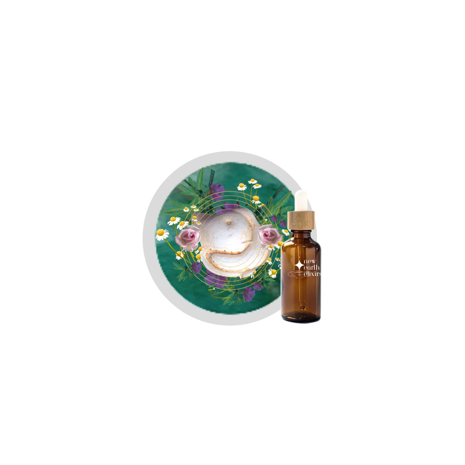 Womb Medicine