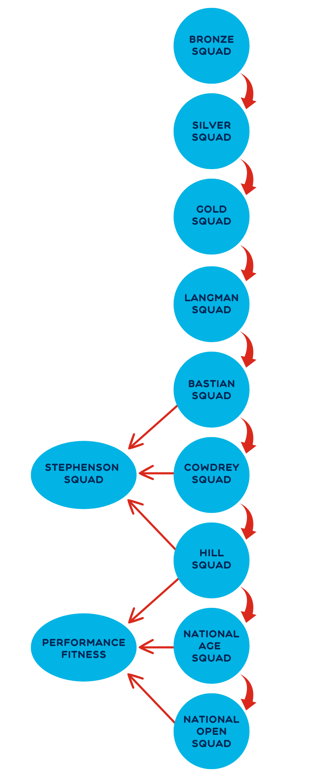 Squads Pathway | Swim Plus | Norwood