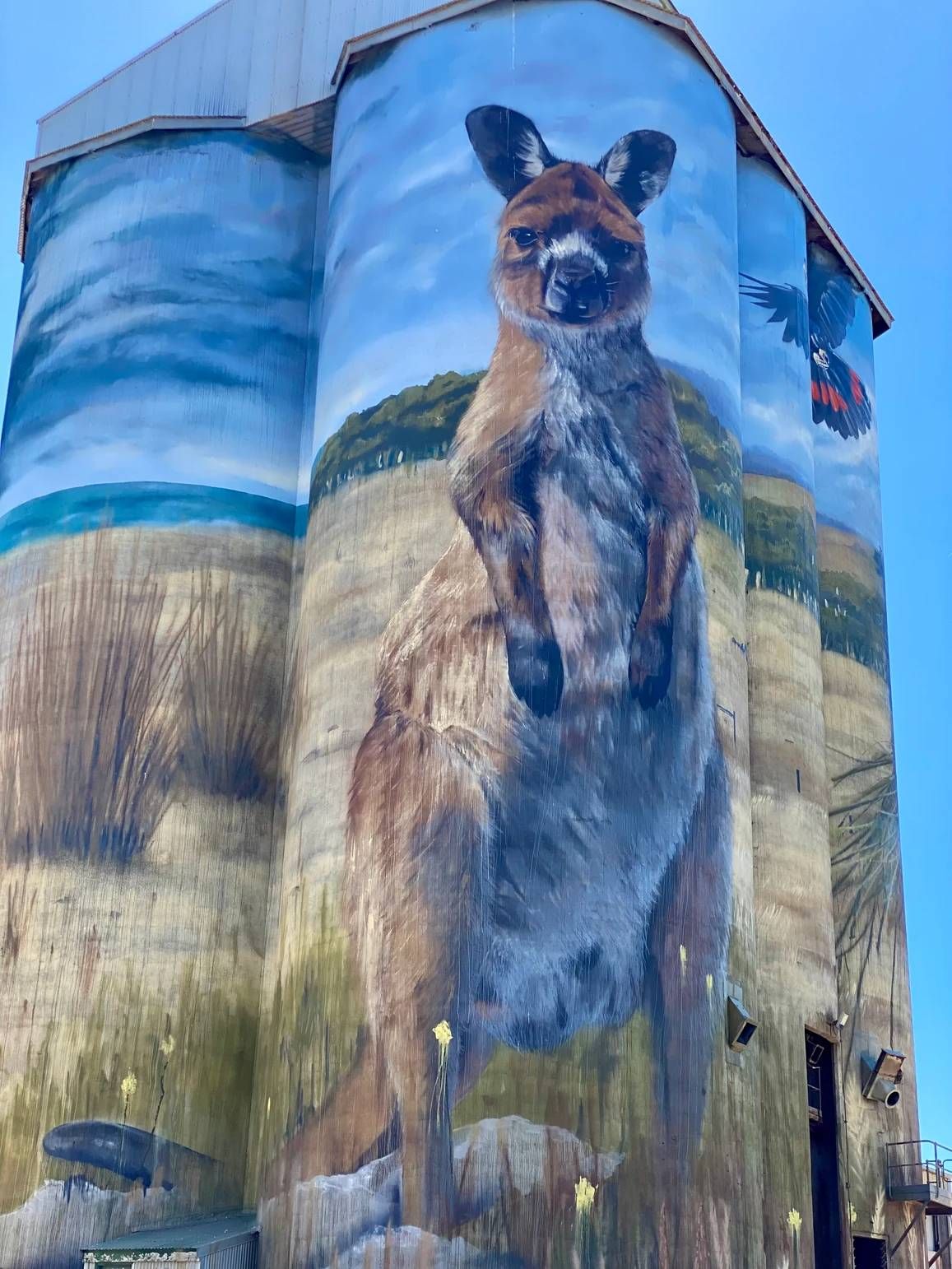 9 Most Instagram-Worthy Spots on Kangaroo Island