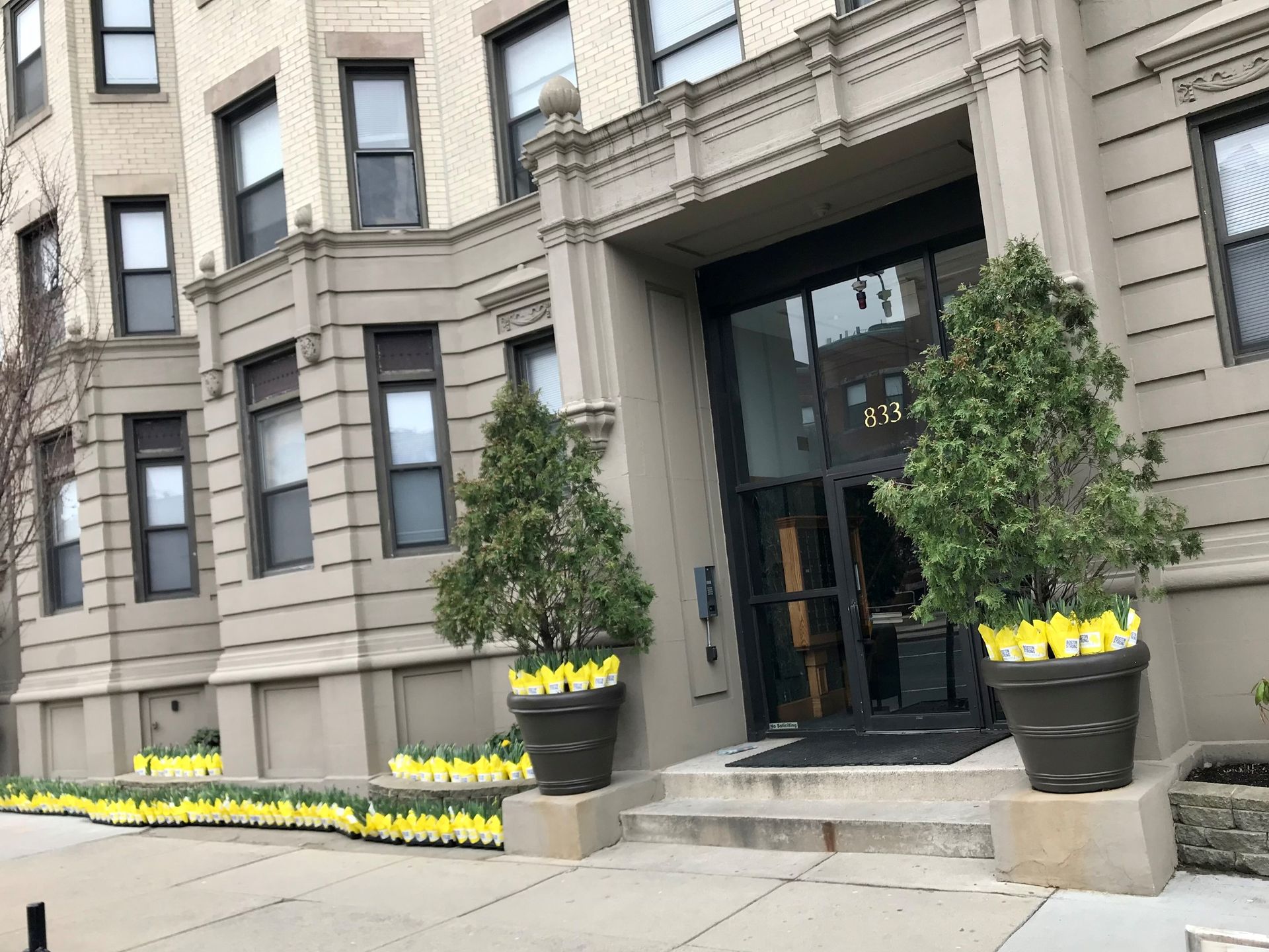 Property Details | Octagon Property Management in Boston, MA