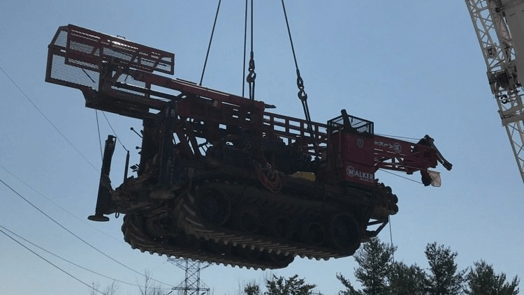 D50