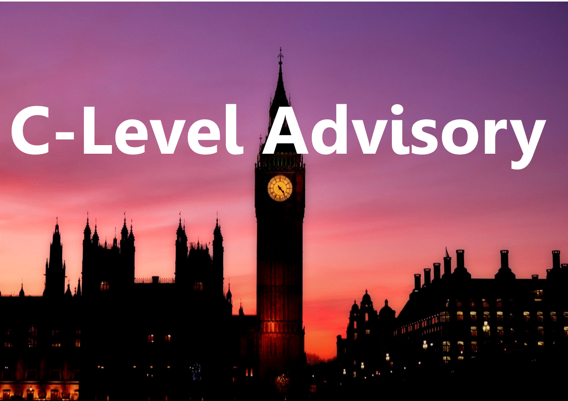 C-Level Advisory Services