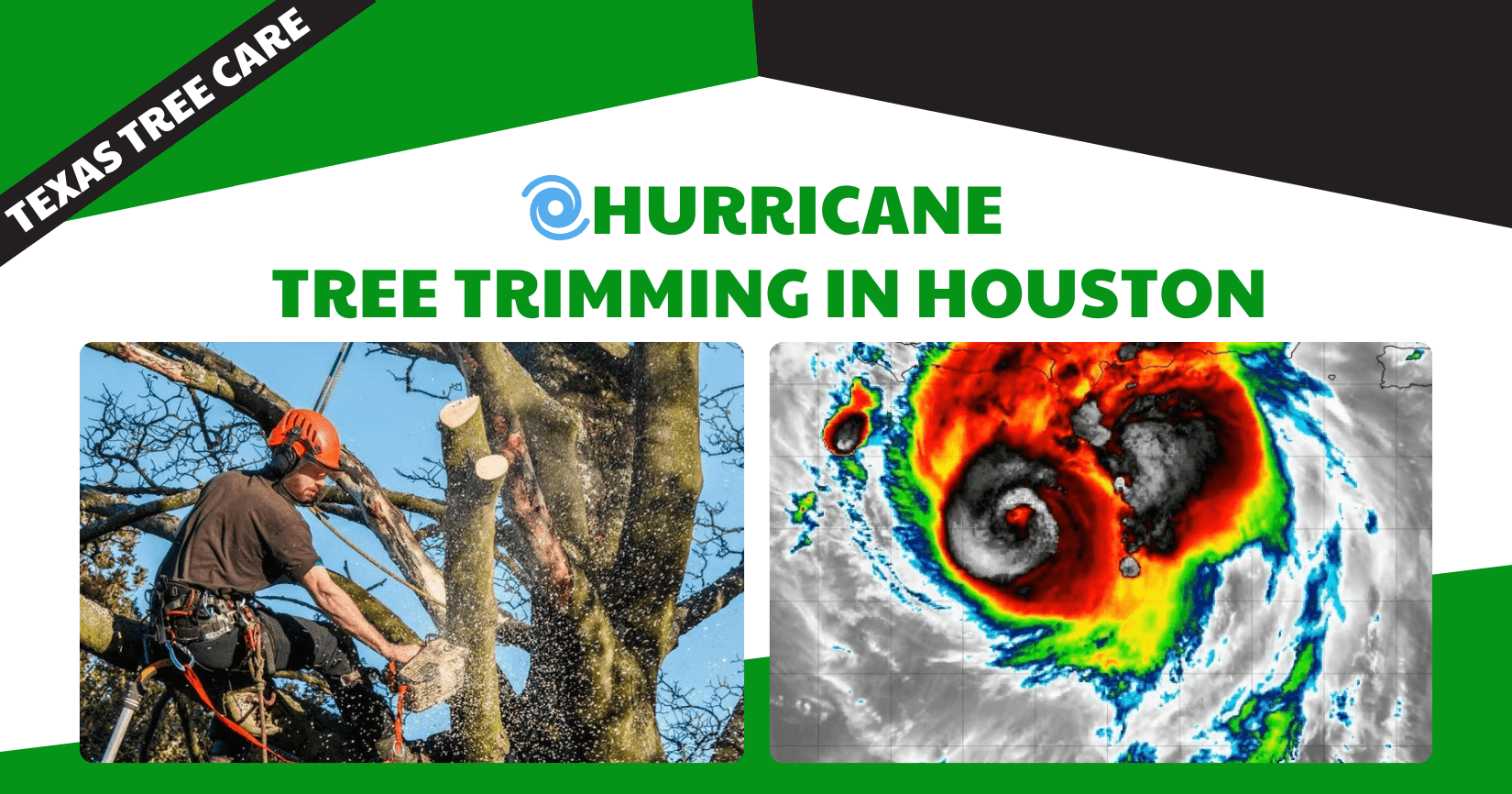Hurricane Beryl Alert: Why Tree Trimming in Houston is Crucial
