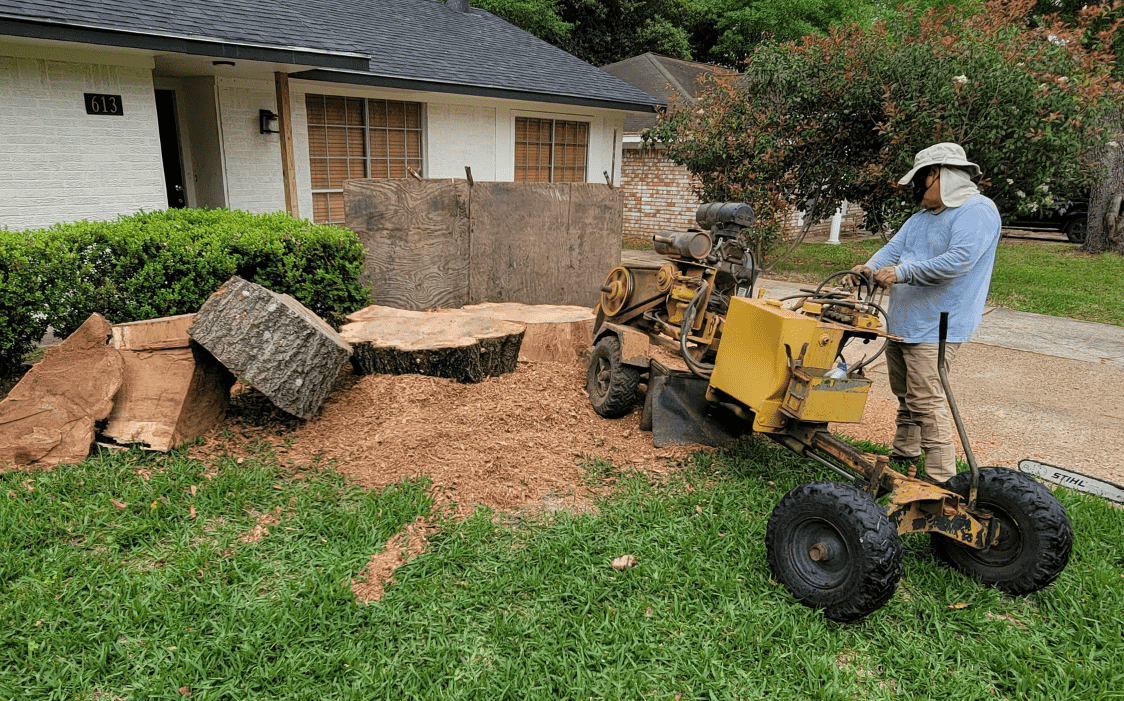 Tree Service Spring TX - Our Work | Texas Tree Care