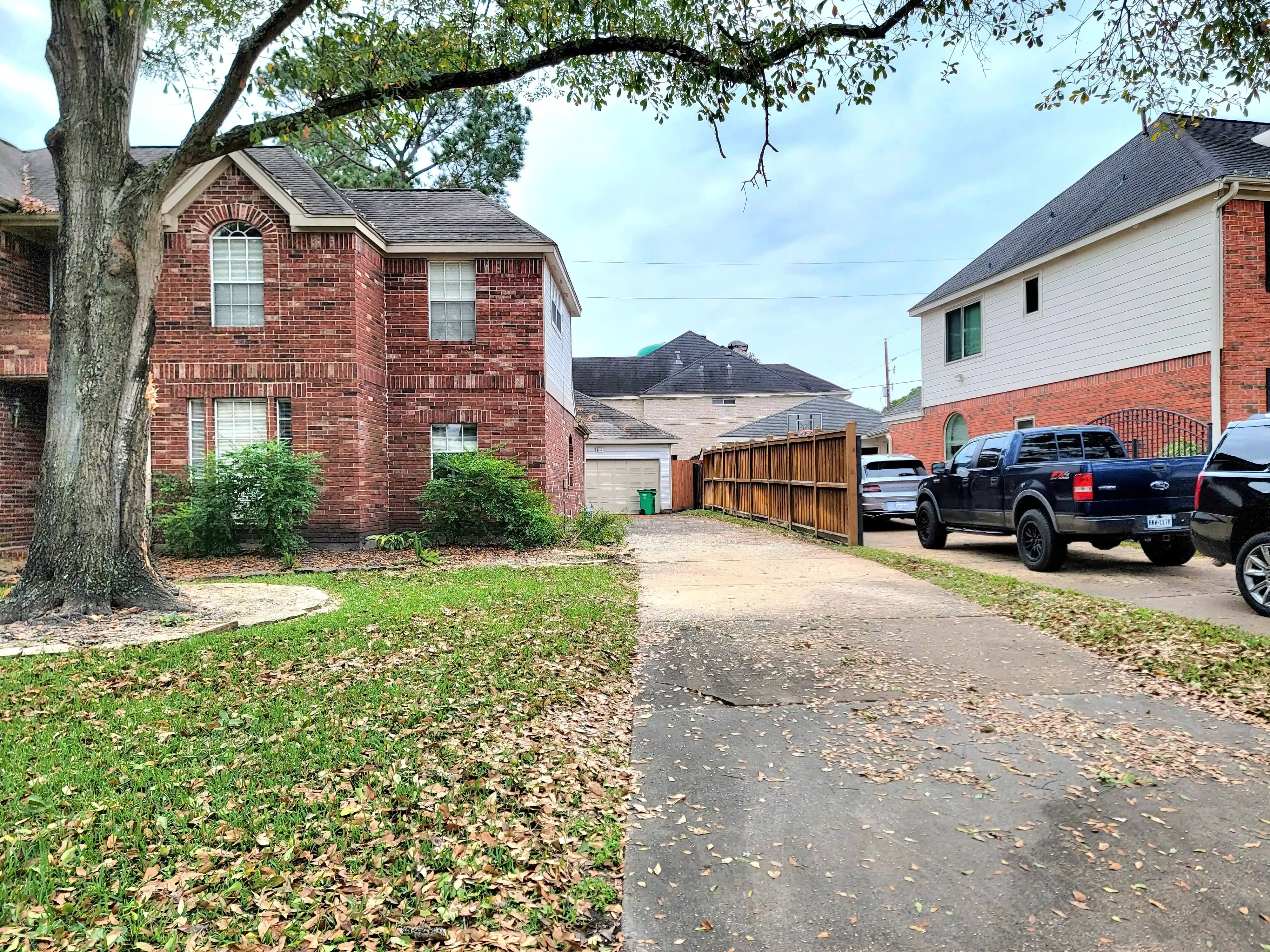 Tree Limb Removal in Spring TX | Spring Tree Service